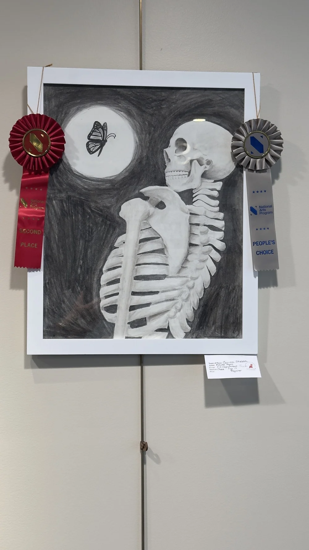 Curious Skeleton | The National Arts Program Foundation